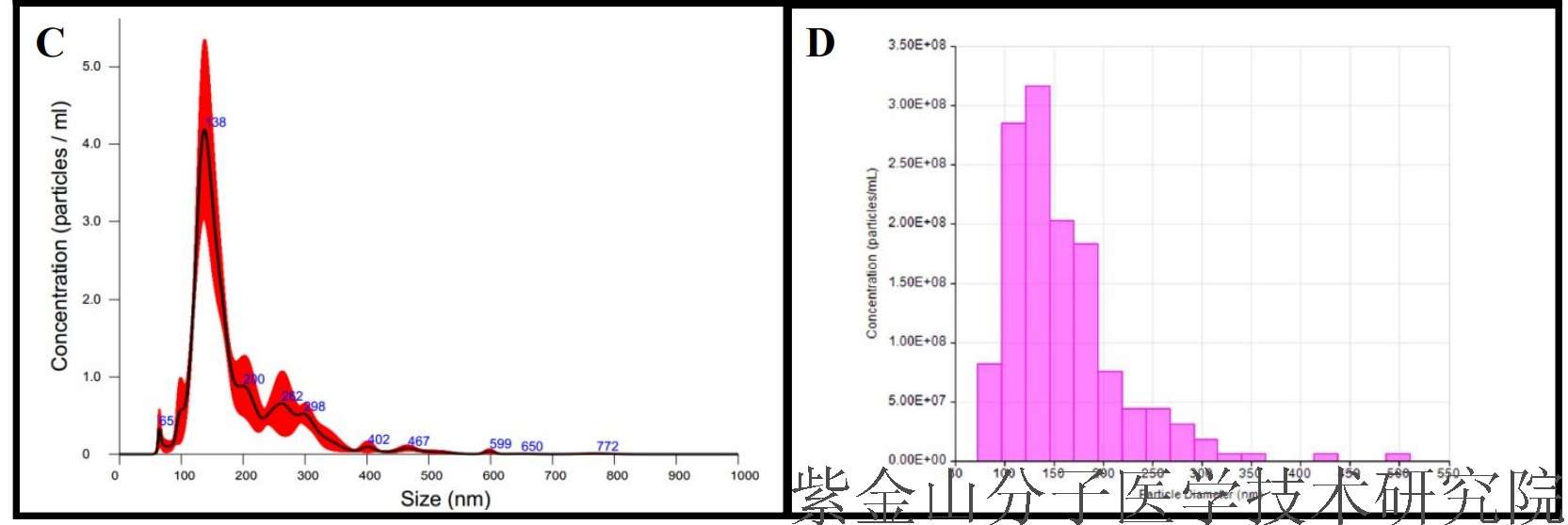 外泌体表征-粒径分析（NTA） - 紫金山分子医学技术研究院